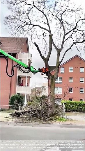 Timbering with a Claw: How a Modified Excavator Replaces a Lumberjack Crew