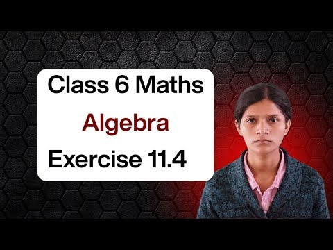 Class 6 Math Ex 11.4