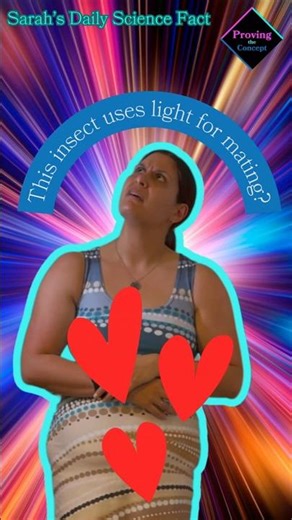 This insect uses light for mating?