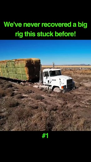 Part 1: We've never recovered a big rig this stuck before! #heavydsparks #heavydspark #heavydsparksdieselbrothers #heavyd #heavy #dave #diesel #dieselmechanic #dieselpower #dieseltruck #dieseltrucks #dieselgang #dieselpowergear #dieselbrothers #heavyequipment #truck #trucks #rescue #recovery #vehicle #recovered #bigrig #stuck #big #rig