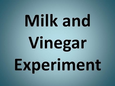 Milk and Vinegar Experiment