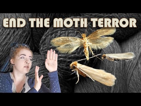 Get rid of moths in your yarn stash!