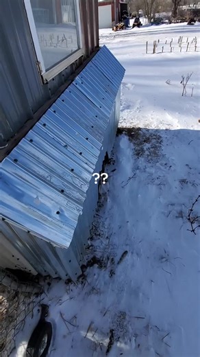 three eggs so far today, I'll check back later. yesterday I ended up with two more #chicken #fyp #egg #snowday @M&A Farms