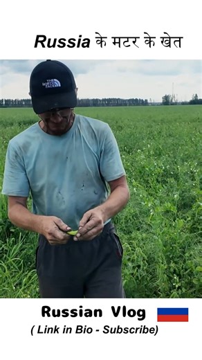 Roshan Jha on Instagram: "Russia के मटर के खेत, Tyumen Russia "