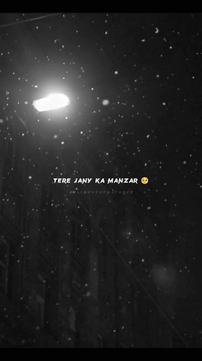 Mujhe Pyar Hua Tha - Status & Lyrics