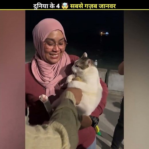 जानवरों के Funny कारनामें देखकर 🤯 हंसी नहीं रोक पाओगे 😂 | #shorts #viral #animals #comedy #funny