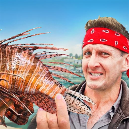 709K views · 13K reactions | Lebanon’s Most Venomous Fish! Scary Middle Eastern Seafood!   | Best Ever Food Review Show | Facebook