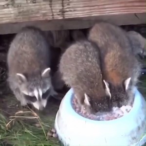 When it's finally treat day 😄 | Tyla