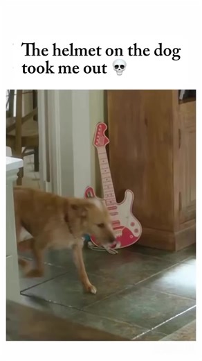 note | ✨ Rebellious, hilarious, and wildly relatable… 🎬 Bad Moms 📖 Bad Moms follows a group of overworked, underappreciated mothers who finally... | Instagram