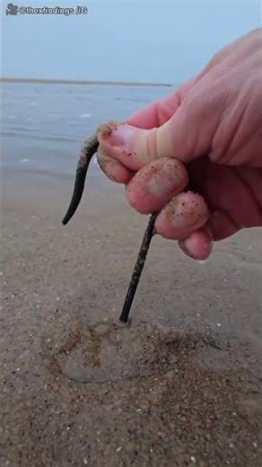This Man Foud Weird Toy On Beach (🎥@thexfindings)