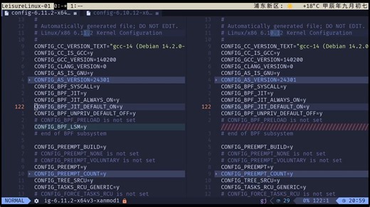 比 meld 更高效，用 nvim -Rd 比较文件