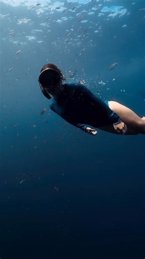 First time diving in Mexico? Yup. It was my first time today too. And what an experience it was with @apexoceandivers Arriving here I was completely unsure what to expect. Where to go. What to do. Whenever I travel overseas to a new destination I always have a slight overwhelm. I’m sure you can relate. But having friends like @alexsharks_ @josesotoval @kylamclay on board and to guide me through the incredible waters of Cabo was a treat. They helped us to find dolphins, sea lions, cow nose rays, 