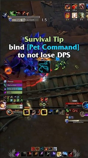 Hunter Tip: Never Lose DPS to Pet Range Again 🐾🔥