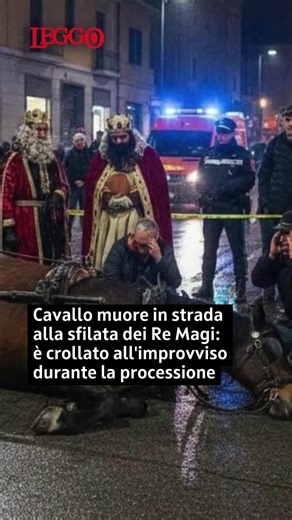 Un cavallo morto sull’asfalto, coperto da un telone blu davanti alla carrozza che stava trainando. È l’immagine destinata a restare impressa nella memoria di quanti hanno assistito, nella serata del 6 febbraio 2026, alla tradizionale Cavalcata dei Re Magi, un evento giunto alla sua diciottesima edizione e che ogni anno precede l’Epifania a #NoceraInferiore. Il drammatico episodio si è verificato in via Atzori, a poche centinaia di metri dalla cattedrale di San Prisco al Vescovado, dove la proces
