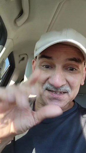 Vehicle Gestures: Understanding Hand Signals in Cars