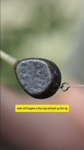 PVA Bag + Lead Choice