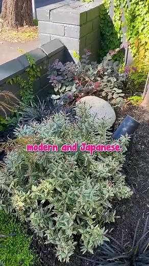 14K views · 72 reactions | Imagine wandering through a tranquil oasis...