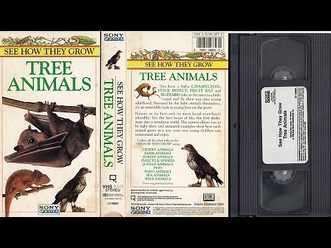See How They Grow: Tree Animals (1996) VHS 60fps