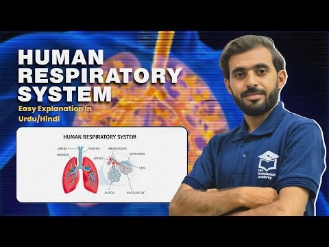 Human Respiratory System | Class 10 Bio | Nose, Pharynx, Larynx, Trachea, Bronchi, Alveoli Explained