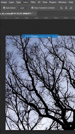 SELECTING OBJECTS WITH COLOR RANGE | USING PHOTOSHOP