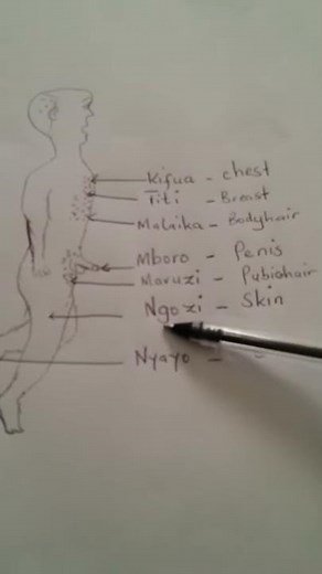 Learn kiswahili- body Parts 2