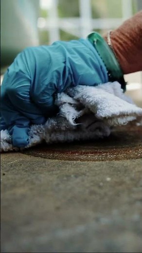 Pool Deck Transformation: Amazing Results with Star brite Home Rust Stain Remover!