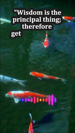 Daily Bible Verse Scripture KJV | Proverbs 4:7 | Get Wisdom and Understanding