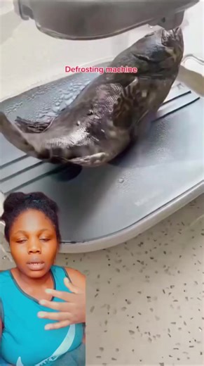 Effortless Mini Defrosting Box for Your Kitchen