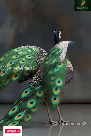 Majestic Blue Peacock | Royal Elegant Bird Art” @FeatherVerse33