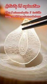 Play on “Onion”Class 8 science chapter-2 activity 2.1 invisible living world beyond our naked eyes