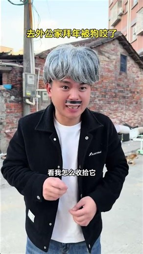 Title: Dog Bite at Grandpa's Home: A New Year's Horrible Story