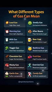 What different types of Farts Gas means #fart #healthtips | Lupee Davis