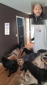 Thunder Haynes on Reels