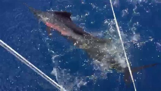 Watch WhatsApp Video 2020-09-10 at 3.42.50 PM | Streamable