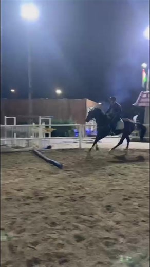 #ppppppppppppppppppppppp #bbbbbbbbbbbbbbbbbbbb #dddddddddddddddddddddddddddddddddd #qqqqqqqqqqqqqqqqqqqqqqqqqqqqqqqqqq #stitch