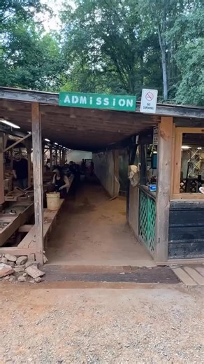 Make core memories sluicing at Emerald Hollow Mine ⛏️ 1/2 price permits all December! Kids get in for $5 and adults just $15! 🪣 Picket a bucket: buckets range from $7-$1,000 based on the size of the gemstones inside the bucket. 🧼 Get to work sifting through the dirt to find and clean your gems! 💍 Once you’ve gone through your whole bucket, head over to the Lapidary with your gemstones. Here you can have a custom piece of jewelry made from your finds. Visit our website in bio to learn more! 📍