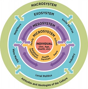 Human Services Client Interaction: Ecosystem & Strength Perspectives