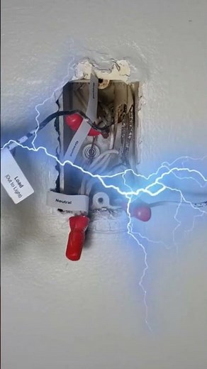 THIS IS THE BEST SMART LIGHT SWITCH! Works with ALEXA or GOOGLE