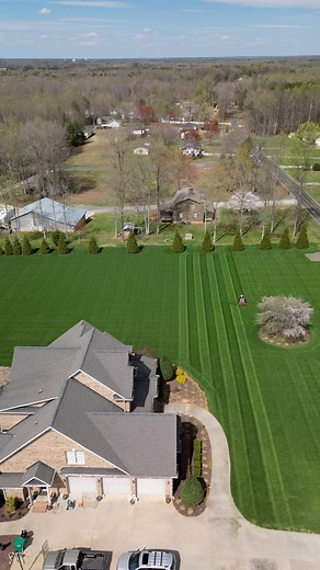 Save $10 off FF150 the best turf type tall fescue seed is on sale now at heritageppg.com Artimuss is $35 off per bag! Buy 20 or more it’s $55 off per bag somebody say group buy#lawn #lawnstripes #lawnart #satisfying #artimuss #grass #turf | Olee Poole