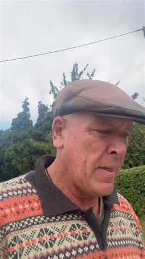 7.1K views · 70 reactions | Sheepdog Trials - July/August at Trofarth. The 2025 Welsh National Sheepdog Trials at Trofarth will be a three-day event, with 150 dogs competing for a place in the Welsh team at the International Trials to be held in Chirk in September. | Gareth Wyn Jones | Facebook