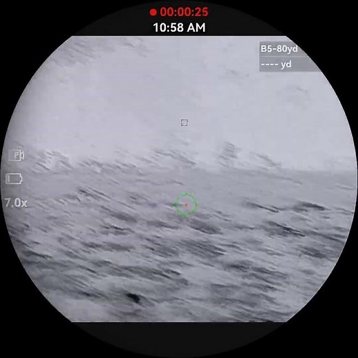 AGM v3 on a rossi brawler 223 pistol.