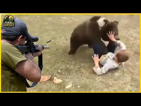 Deadly Pursuit – Gun Hunts Against Powerful Wild Bears in Alaska’s Kenai Backcountry