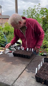 40K views · 22 reactions | Now is a good time to plant the fast...