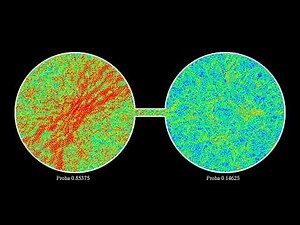 The quantum Ehrenfest model