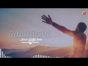 Faarfannaa Haaraa Afaan Oromoo || GAADDISA AARA GALFII KOO