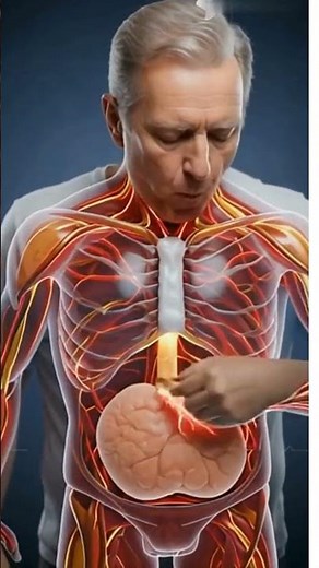 Protein Meal – Energy Conversion | 3D Human Anatomy Animation