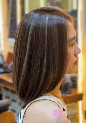 Hair Color Ideas Without Bleaching: Highlights Guide