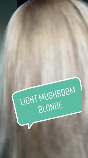 Ion 8MB and 20 Vol Developer Hair Color Review