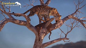 Leopard animation by Kishore Kumar Rigged with AdvancedSkeleton by Truong Cg Artist | AdvancedSkeleton