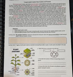 Learning Task I. My operational definition: Read and understand... | Filo